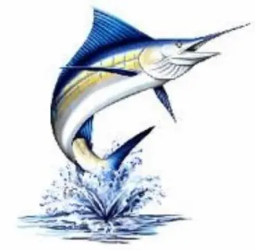 Marlins Insurance Agency, LLC | Plantation Florida Insurance Agency